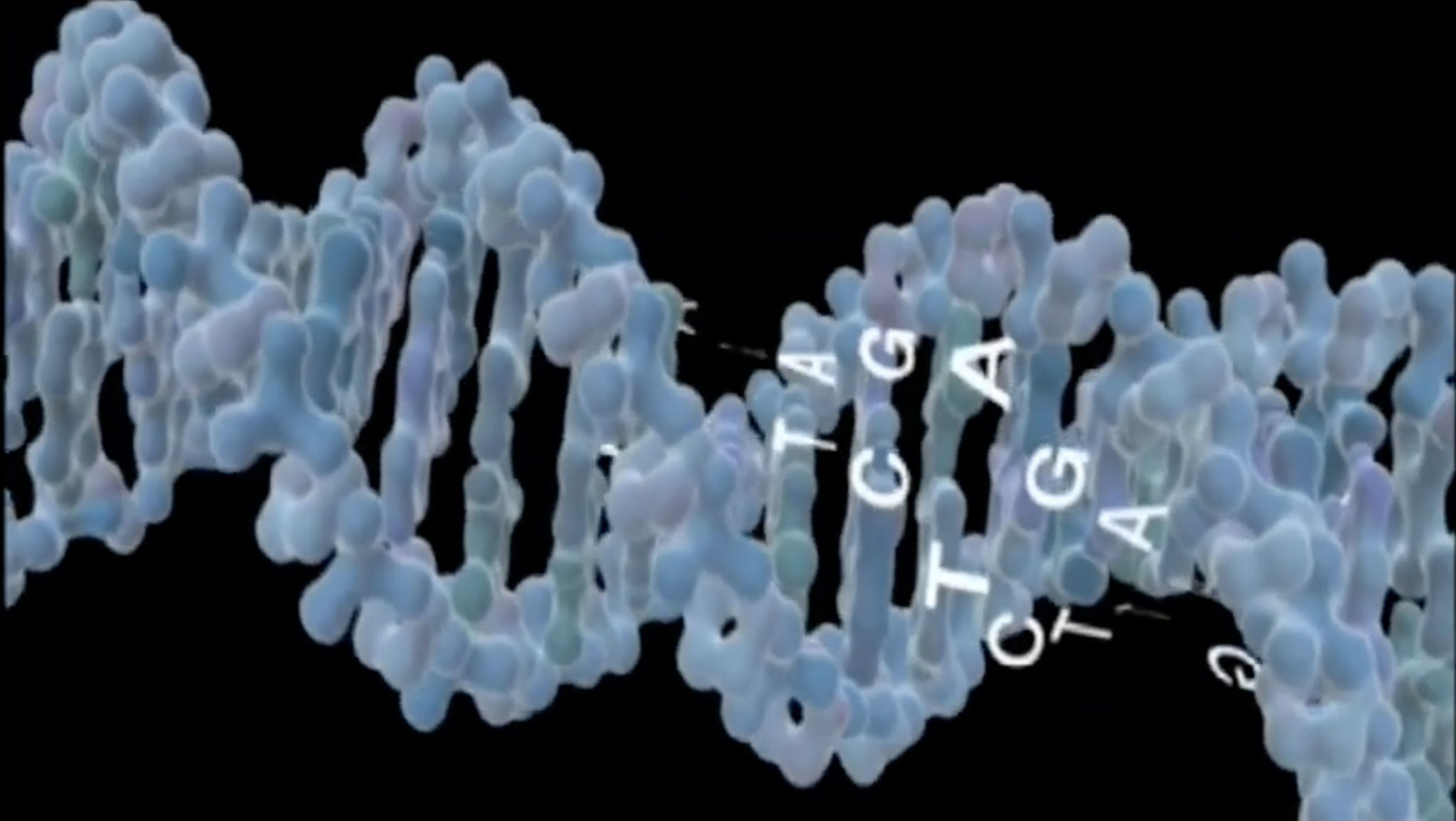 Journey Inside the Cell | Discovery Institute