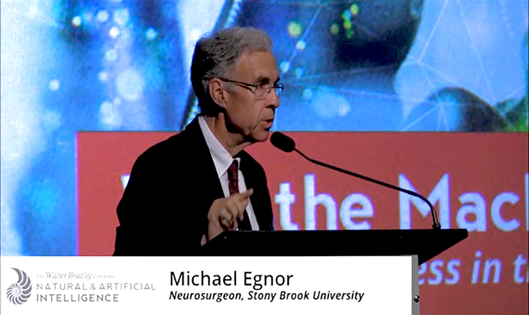 Neurosurgeon Michael Egnor: Why Machines Will Never Think | Discovery ...