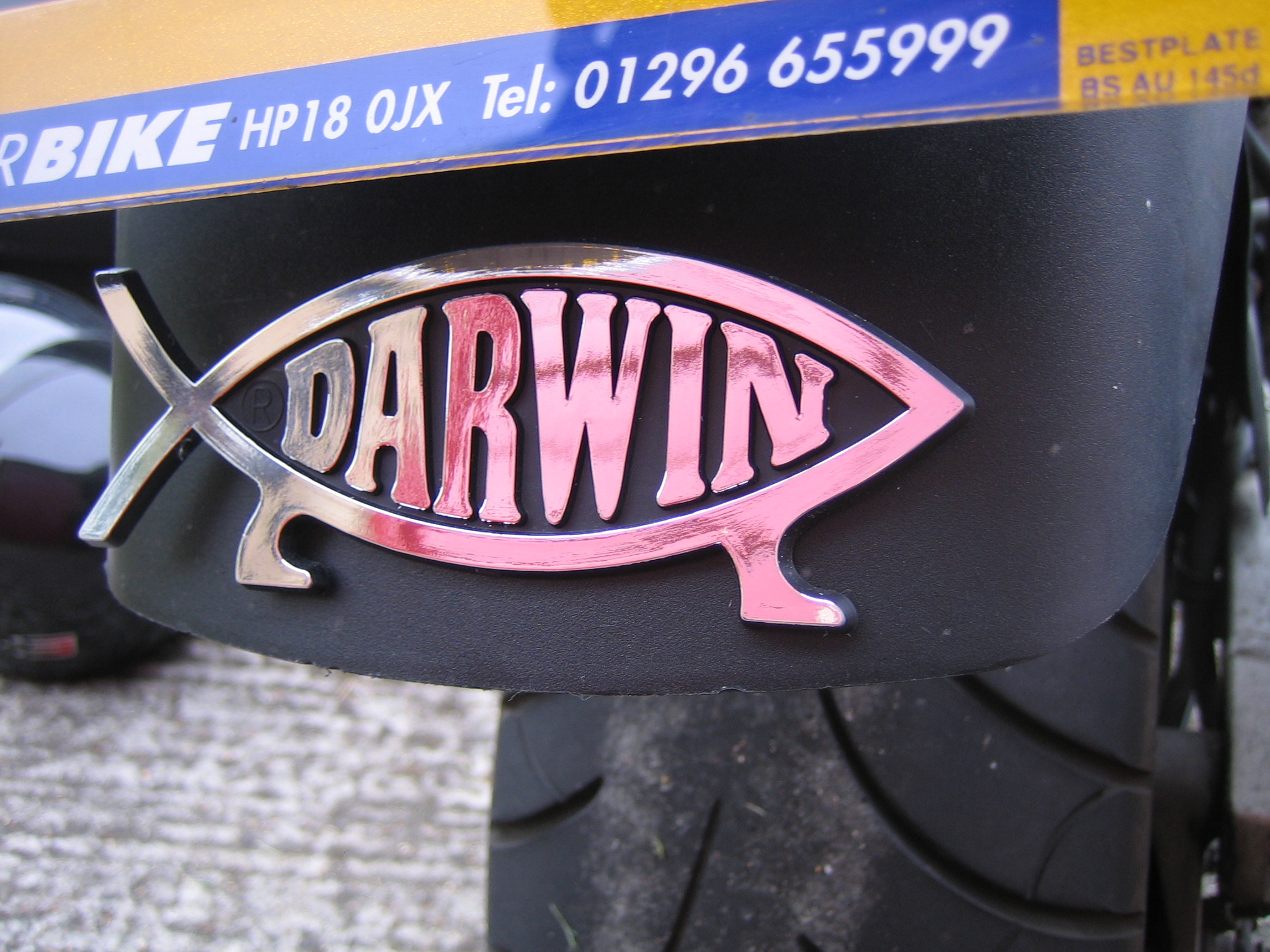 What Were Darwin’s Religious Views? | Discovery Institute