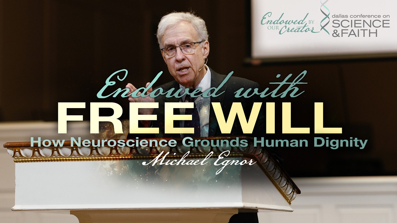 Free Will Won’t Be Vanquished — Michael Egnor | Discovery Institute